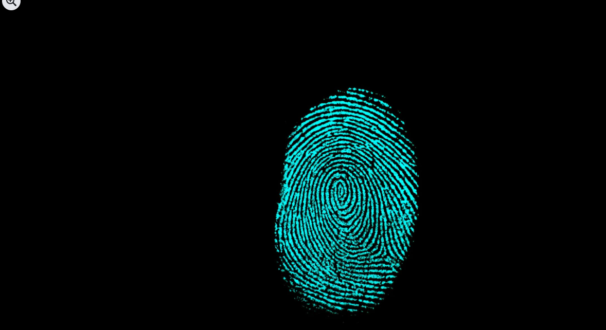 إدارة رقمية دقيقة للحضور والانصراف – Mawjood